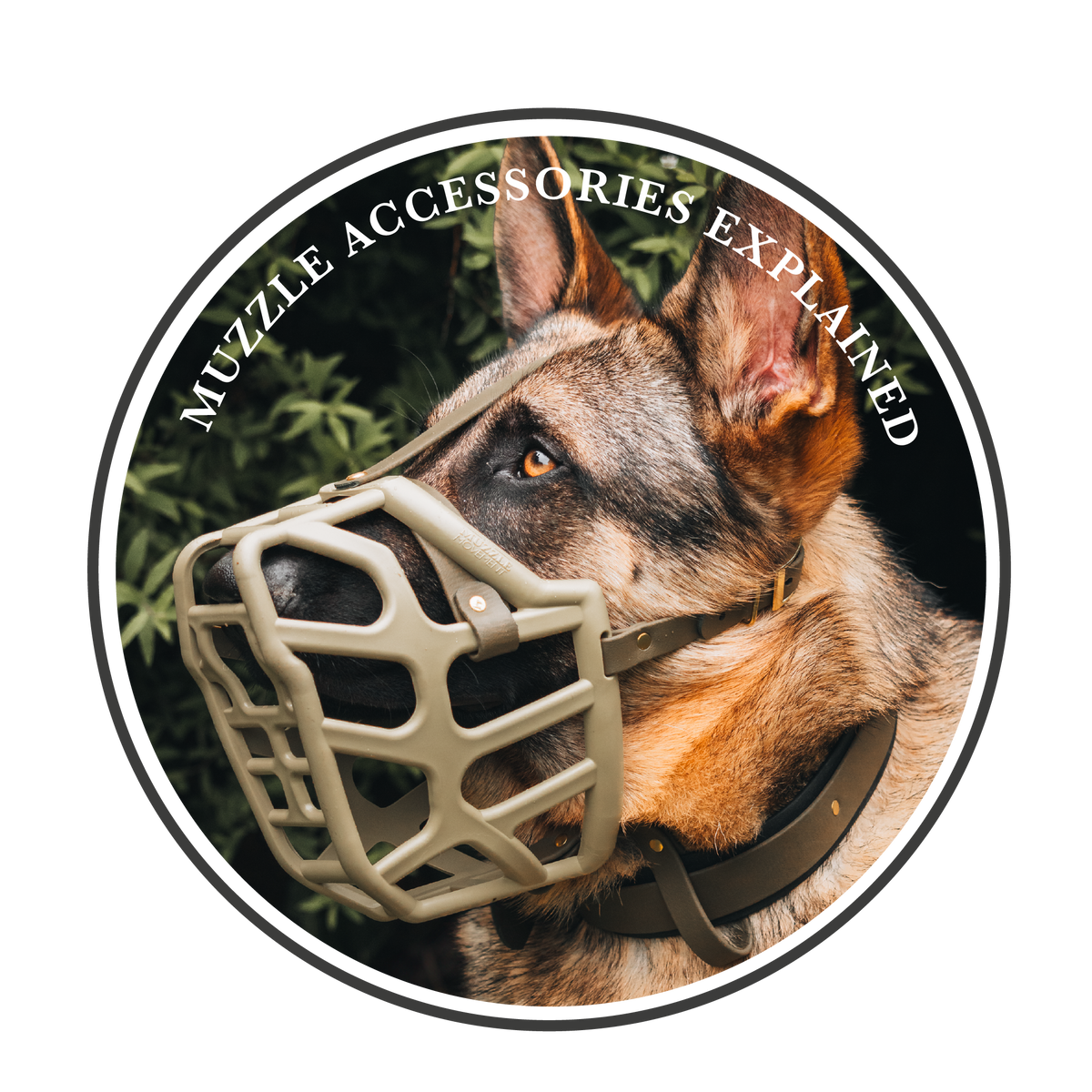 Muzzle accessories explained!– The Muzzle Movement