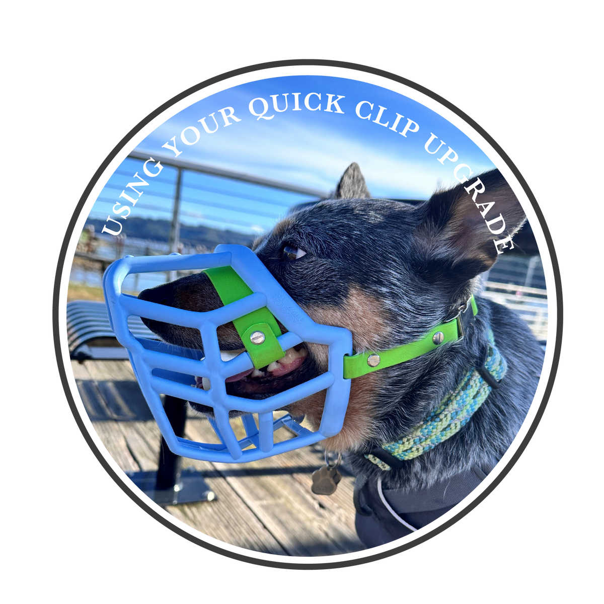 Using your quick clip upgrade– The Muzzle Movement