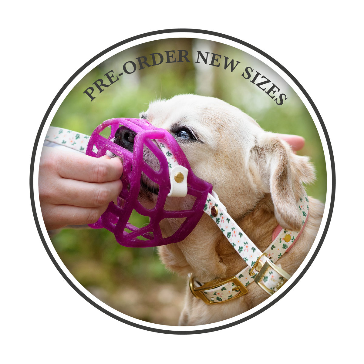 How to pre-order new sizes!– The Muzzle Movement