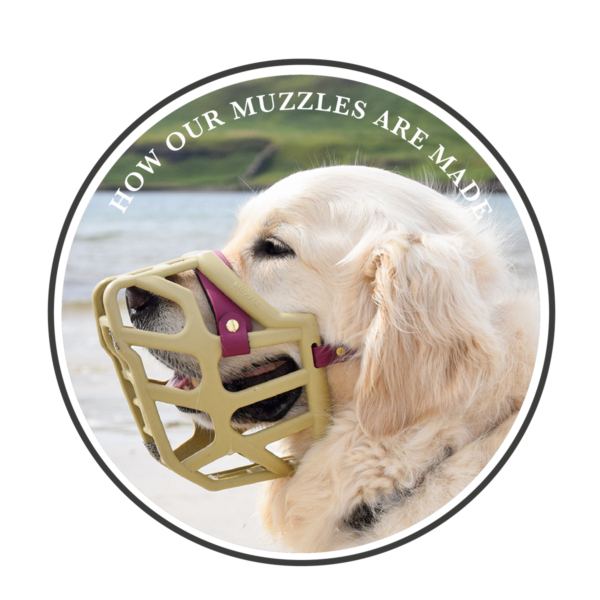 How The Muzzle Movement muzzles are made?