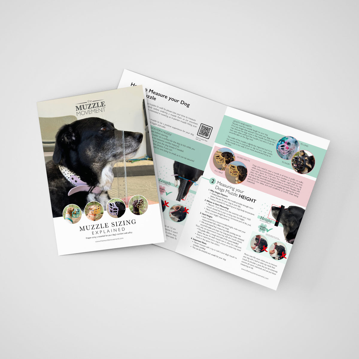 The Muzzle Movement - Sizing Explained Guide - Downloadable