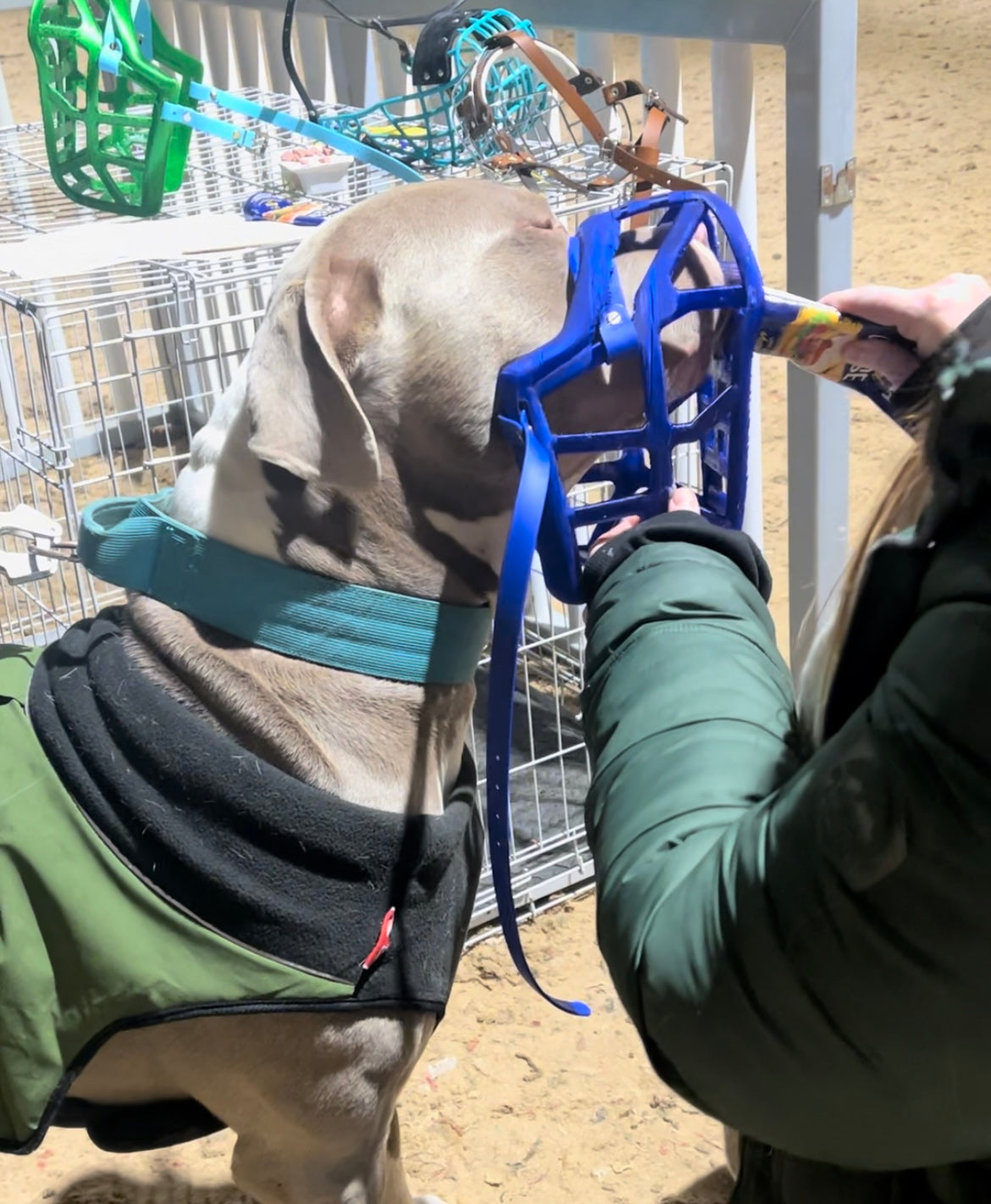 Mitzy - *NEW* coming soon!– The Muzzle Movement