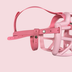 How to pre-order new sizes!– The Muzzle Movement