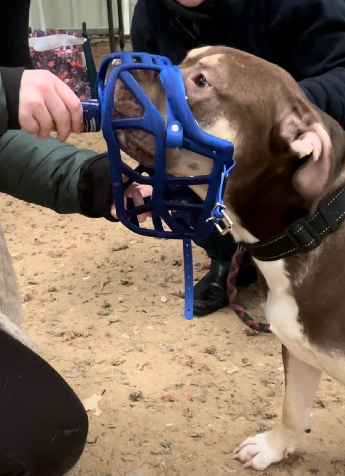 Mitzy - *NEW* coming soon!– The Muzzle Movement