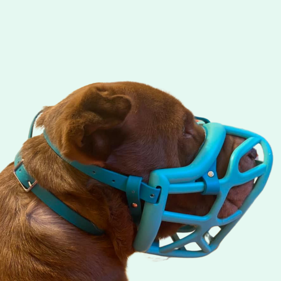 Chin Strap– The Muzzle Movement