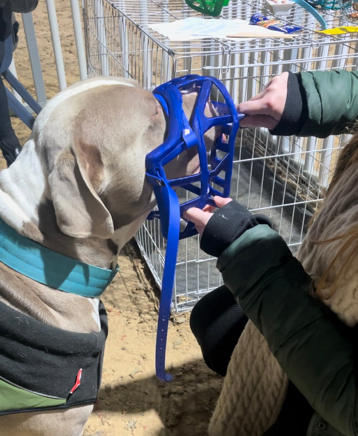 Mitzy - *NEW* coming soon!– The Muzzle Movement