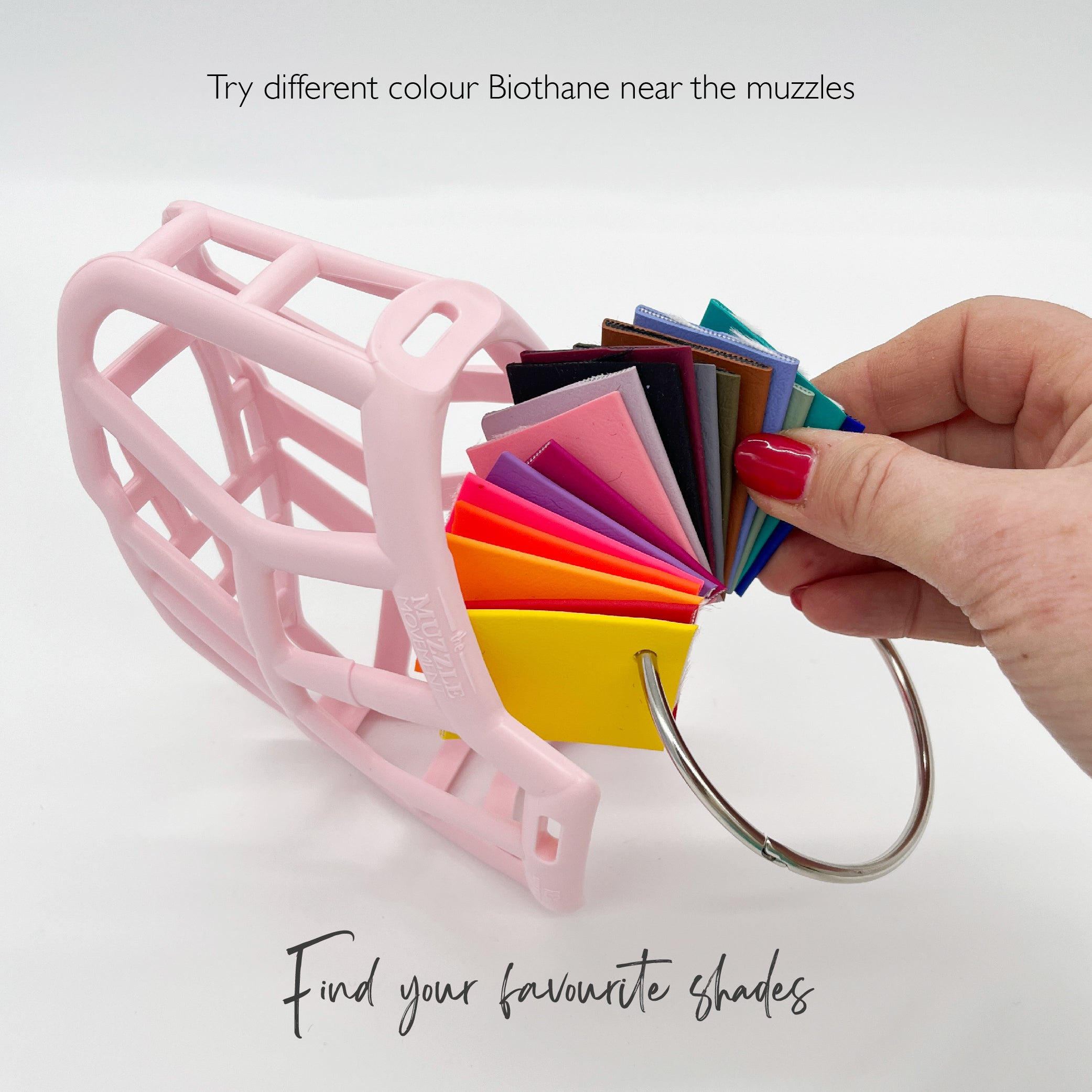 Biothane colour wheel– The Muzzle Movement