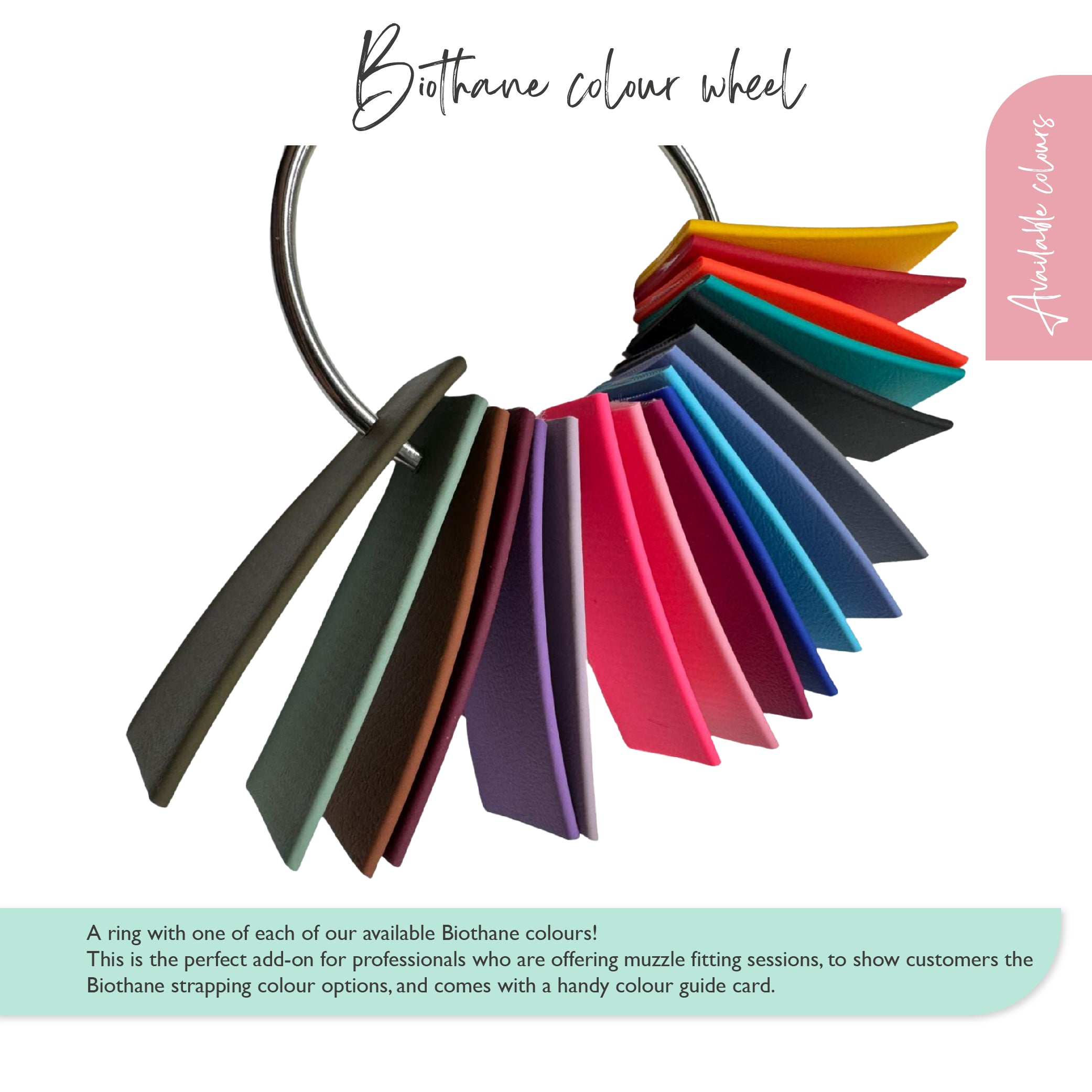 Biothane colour wheel– The Muzzle Movement