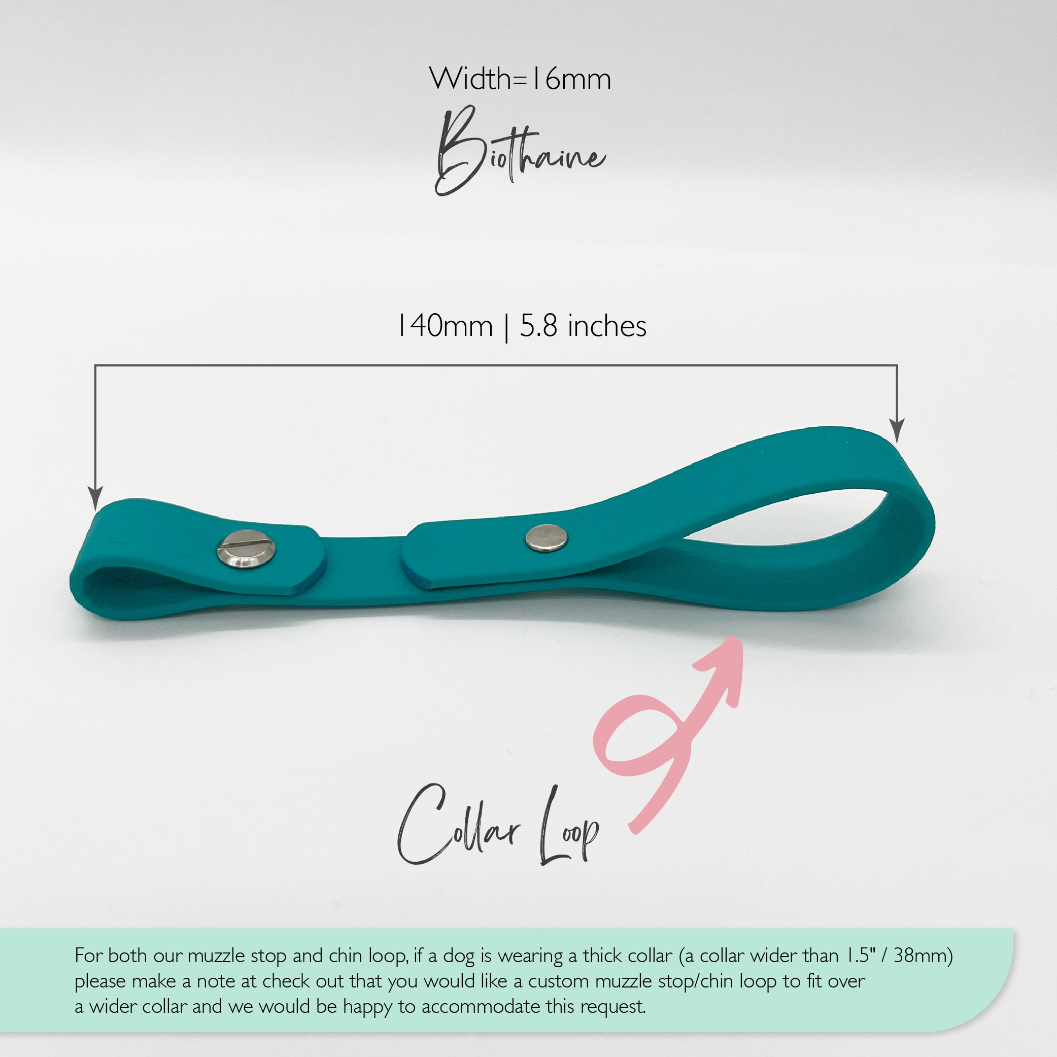 Chin Loop– The Muzzle Movement