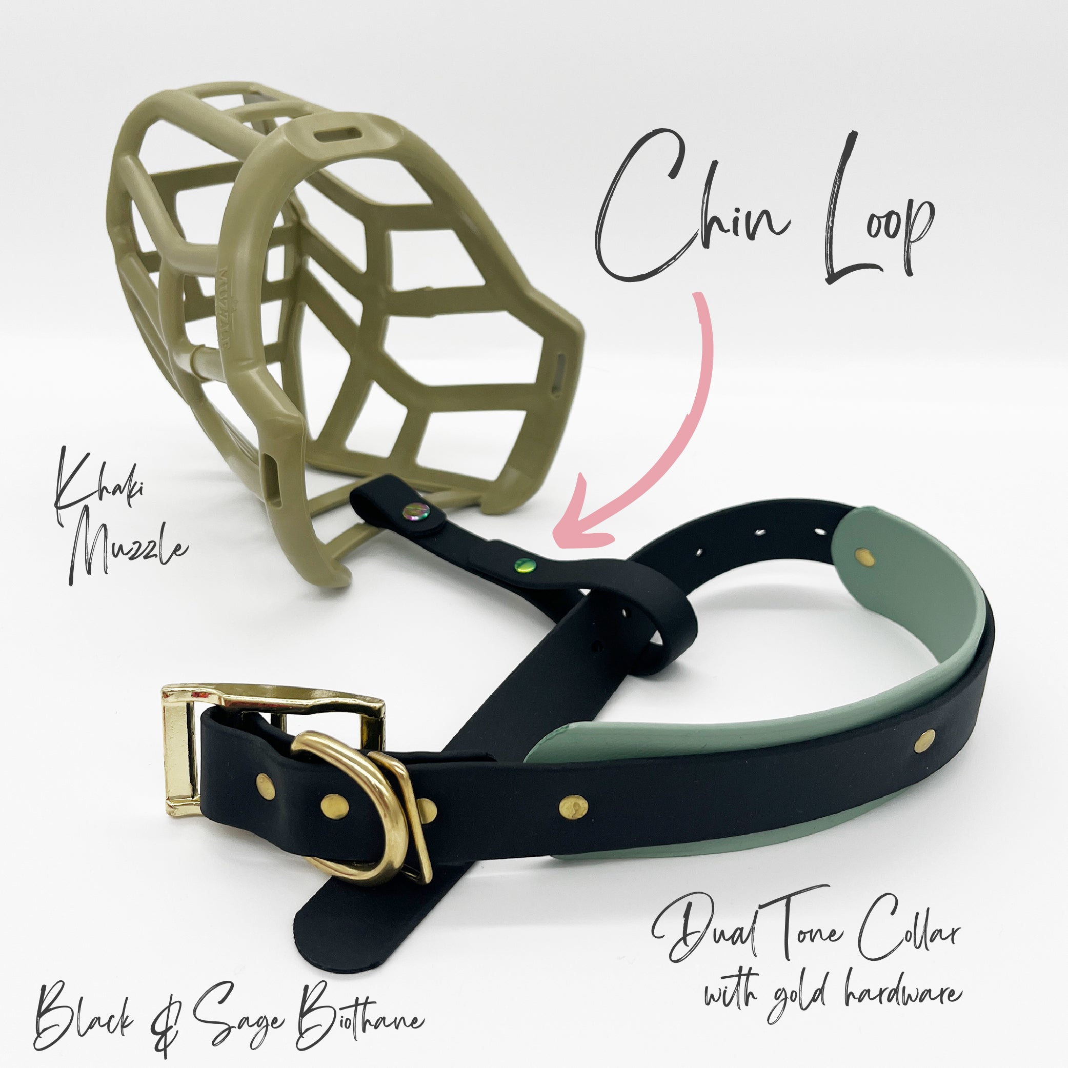 Chin Loop– The Muzzle Movement