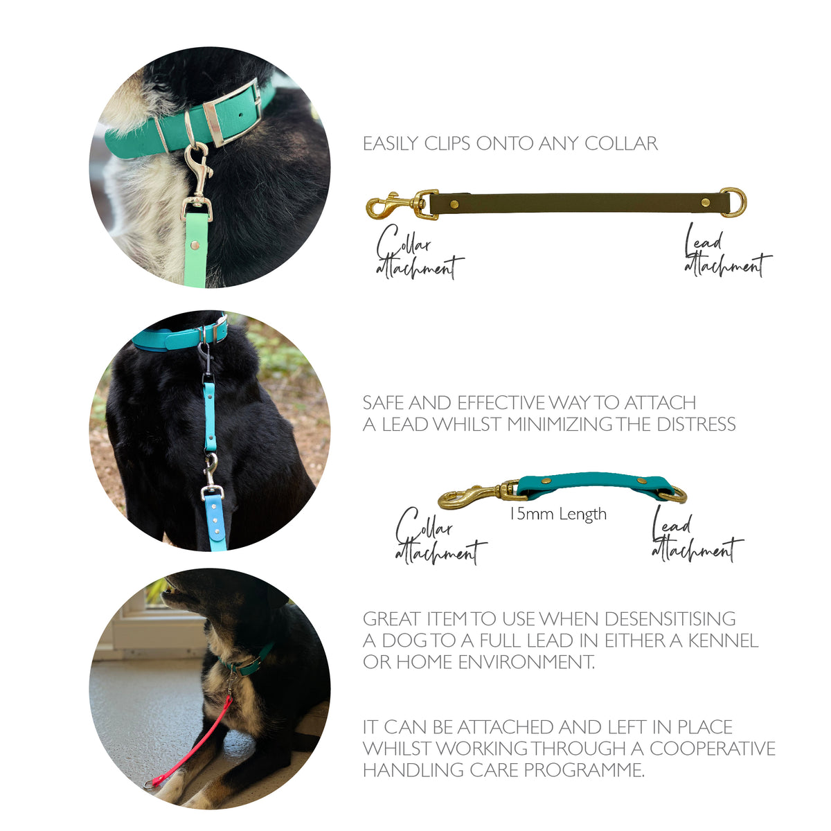 Collar Attachment– The Muzzle Movement