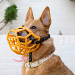 The Best Muzzle Options for XL Bully Breeds: A Comprehensive Guide– The ...