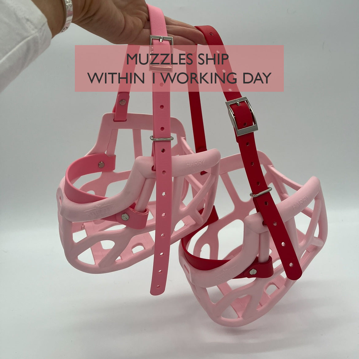 Discounted Harry original Dog Muzzle - ready to ship– The Muzzle Movement