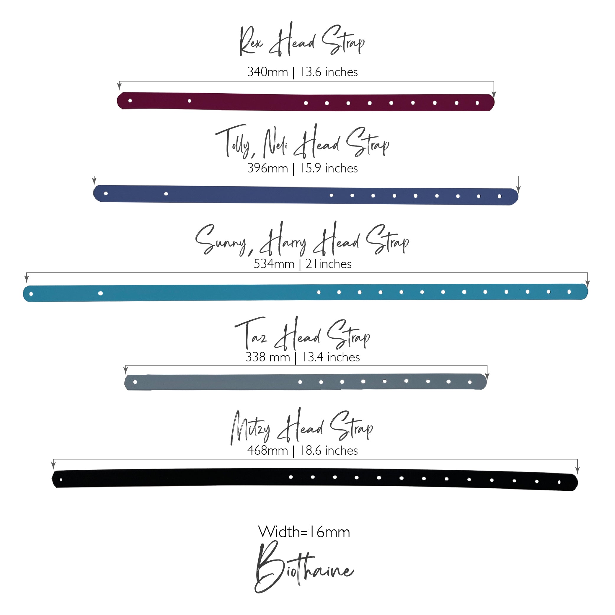 Head Strap– The Muzzle Movement