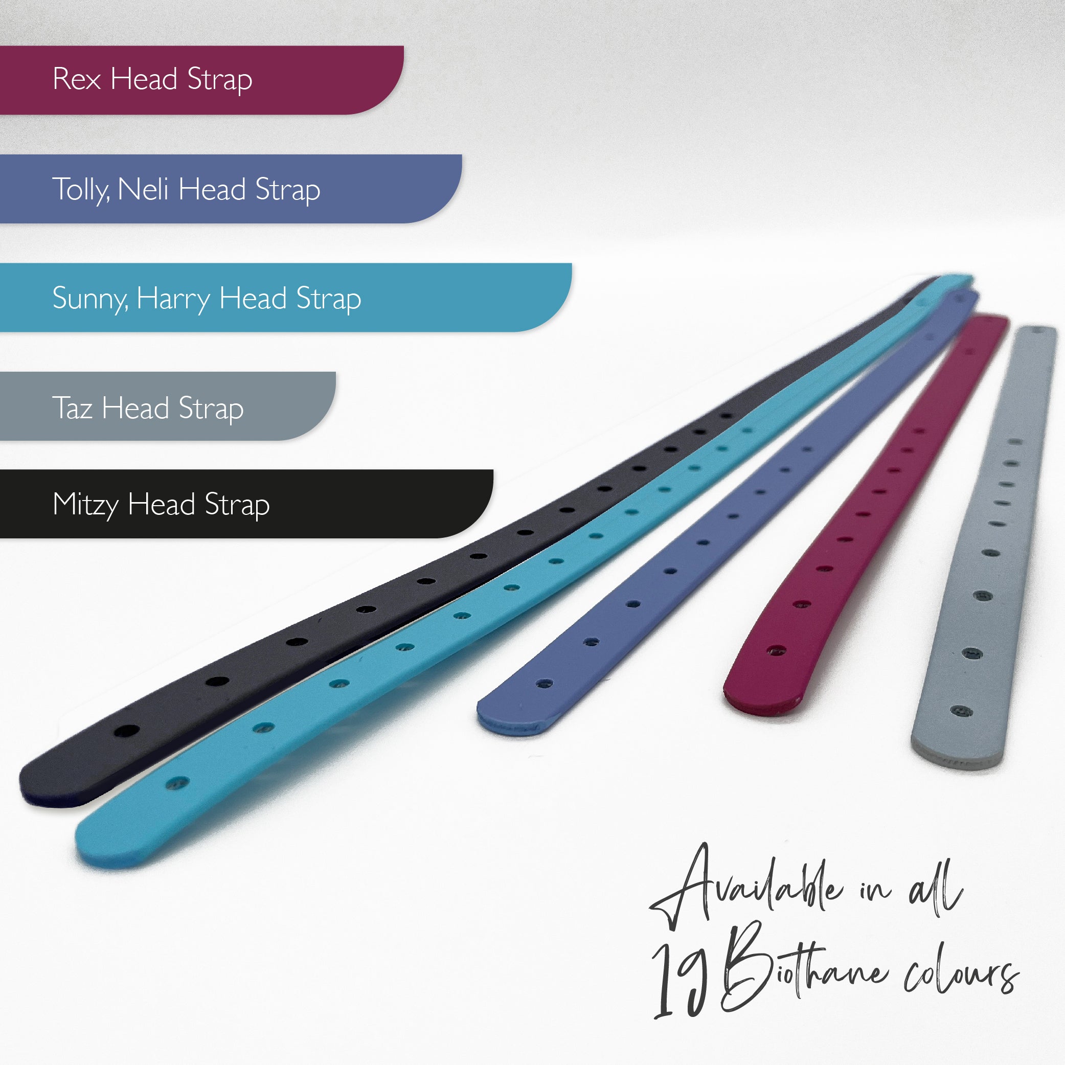 Head Strap– The Muzzle Movement