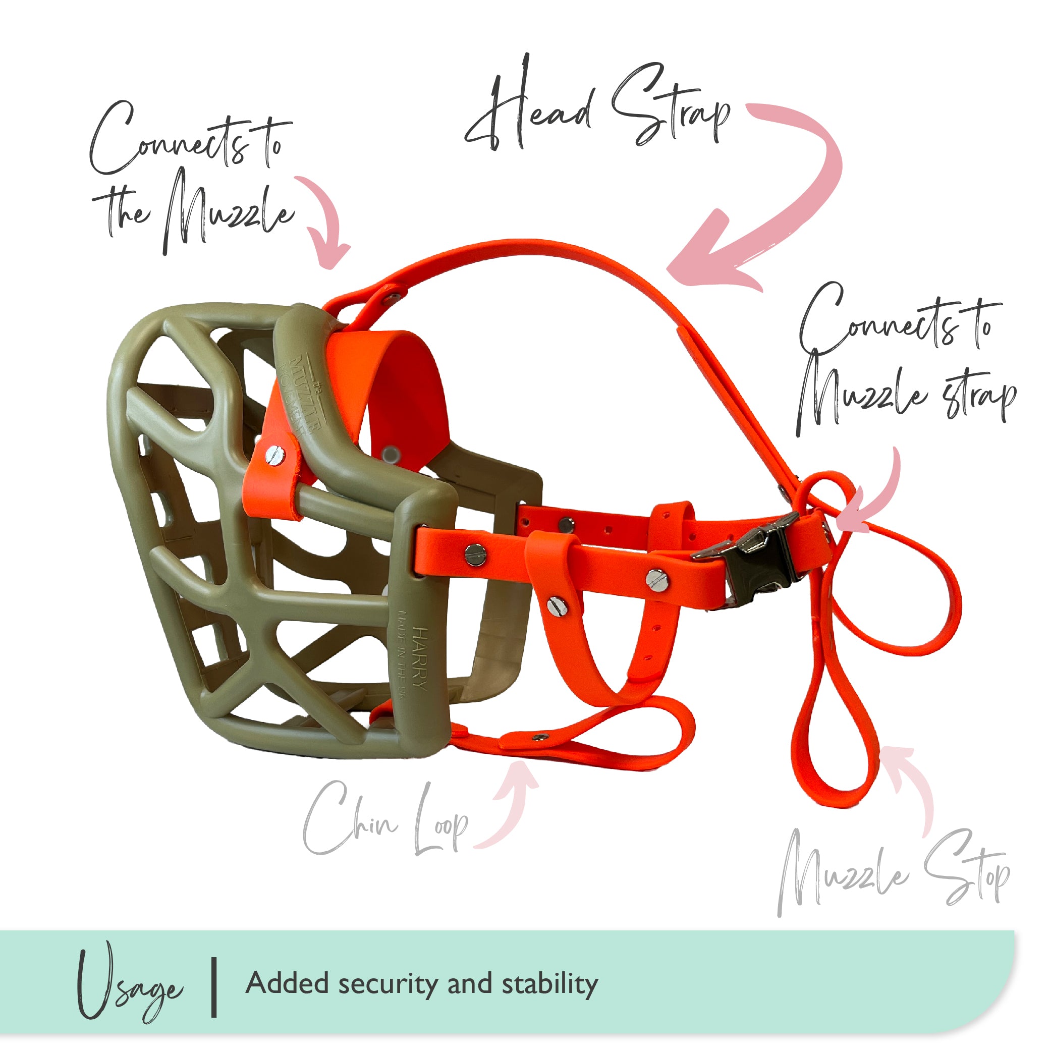 Head Strap– The Muzzle Movement