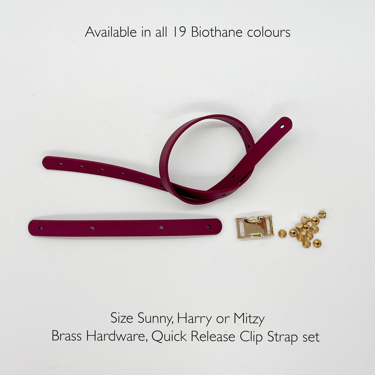 Muzzle Strap complete fastening set with hardware– The Muzzle Movement