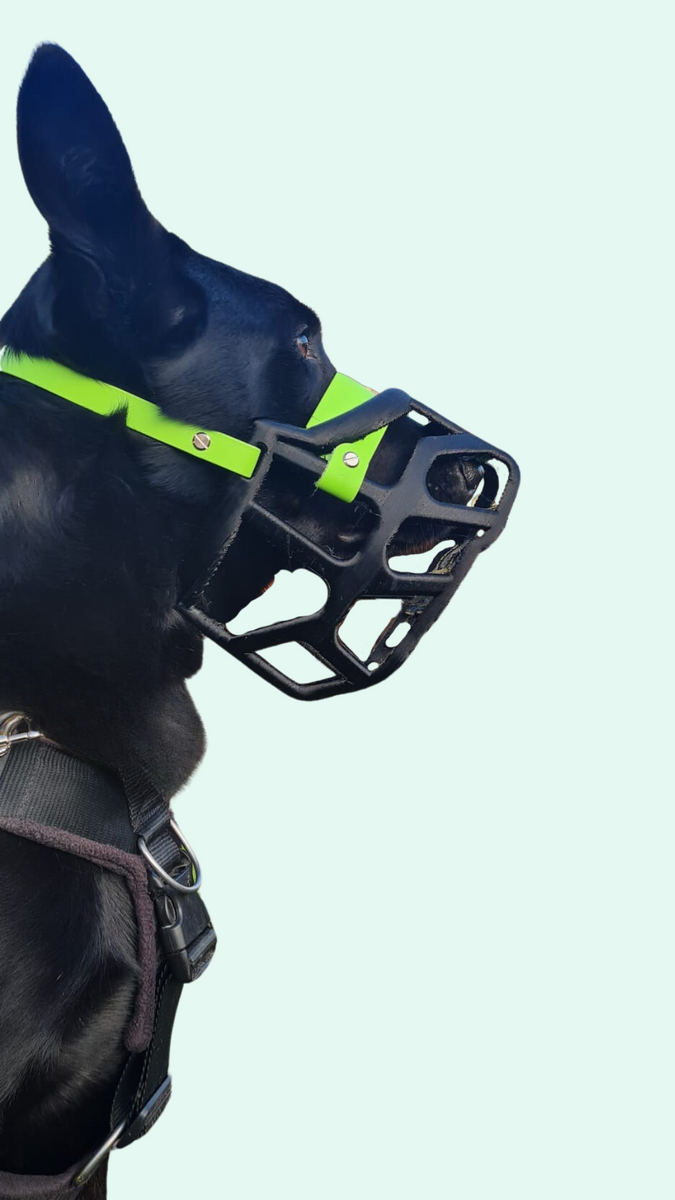 Size Taz - *NEW*– The Muzzle Movement