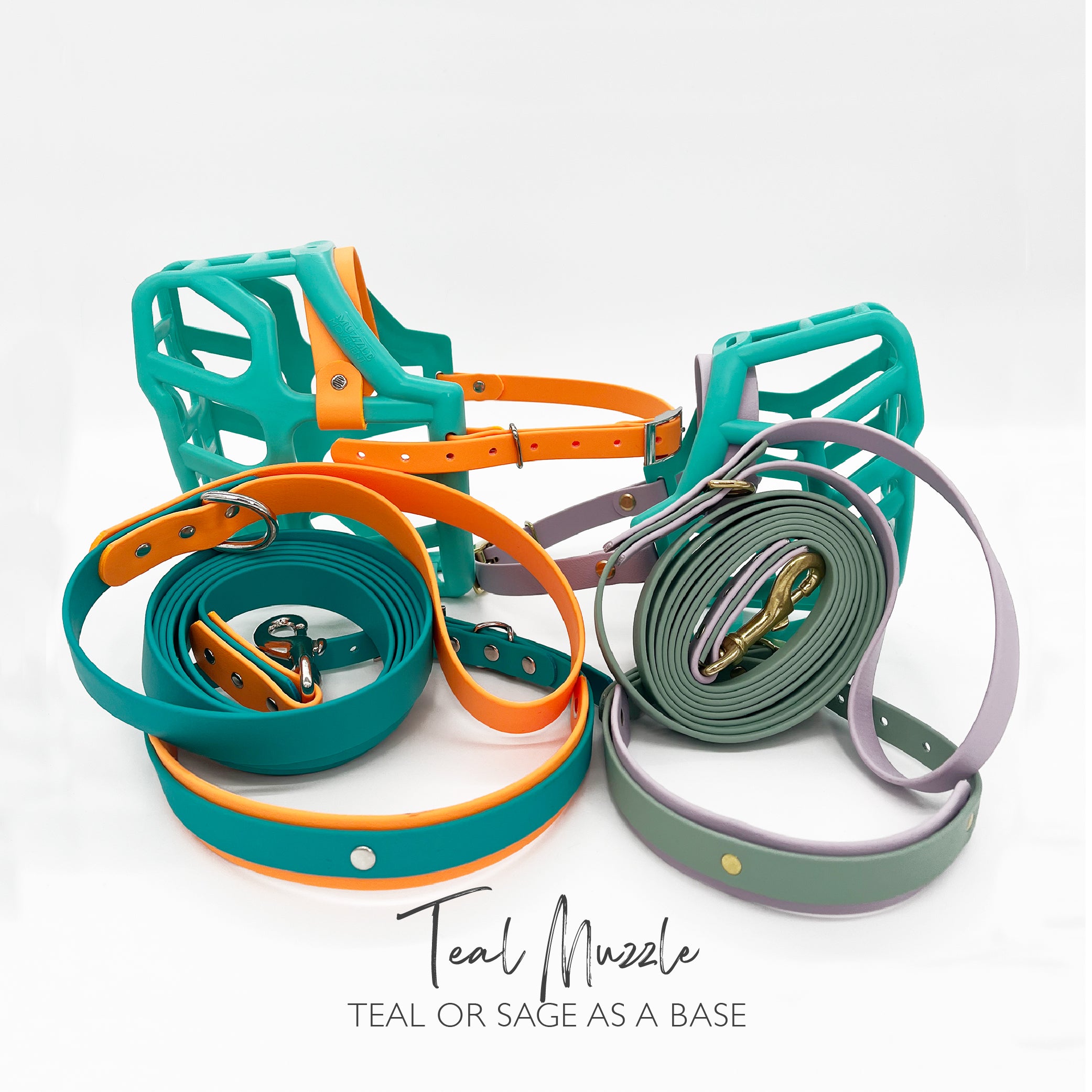 Teal Dog Muzzle, Collar & Lead Set– The Muzzle Movement
