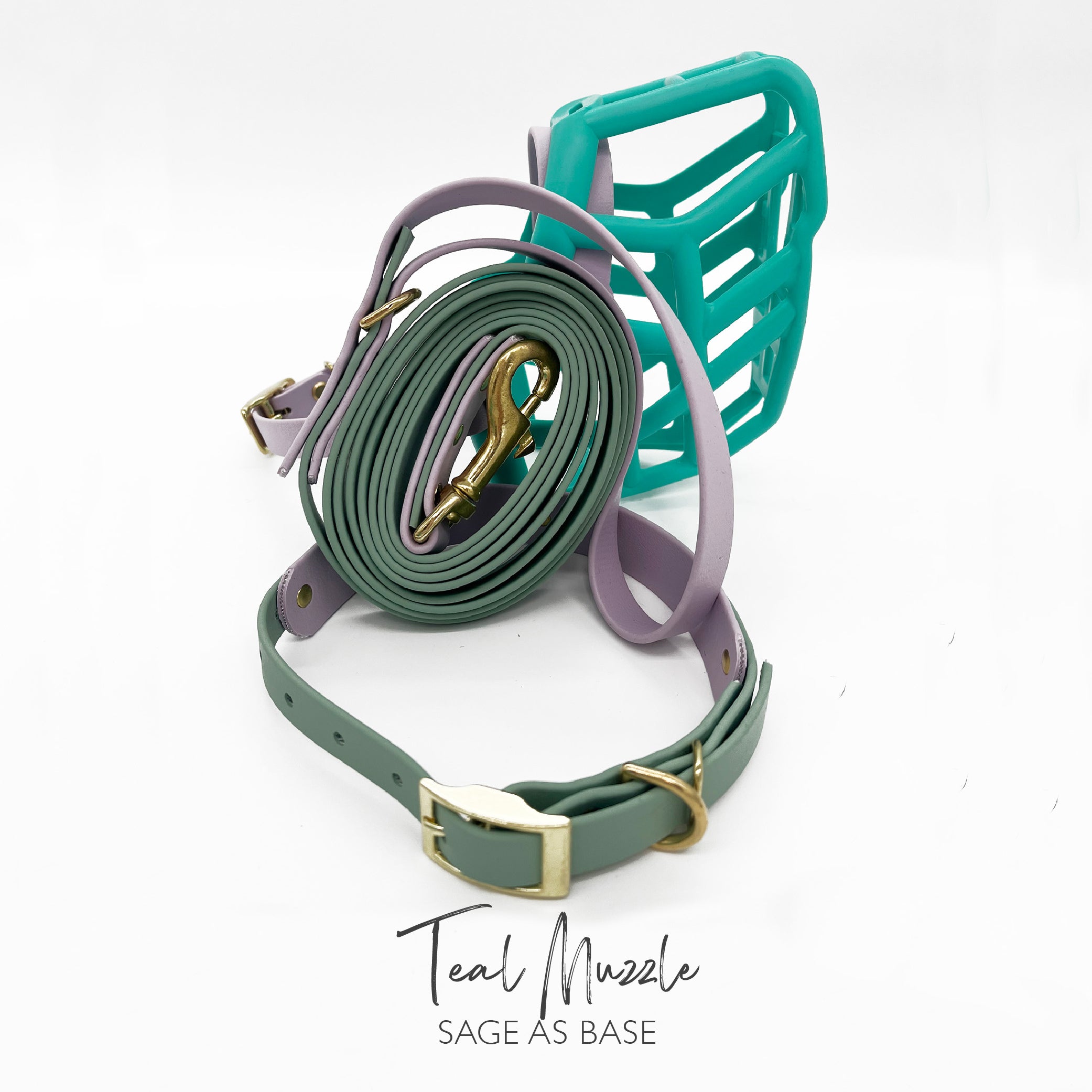 Teal Dog Muzzle, Collar & Lead Set– The Muzzle Movement