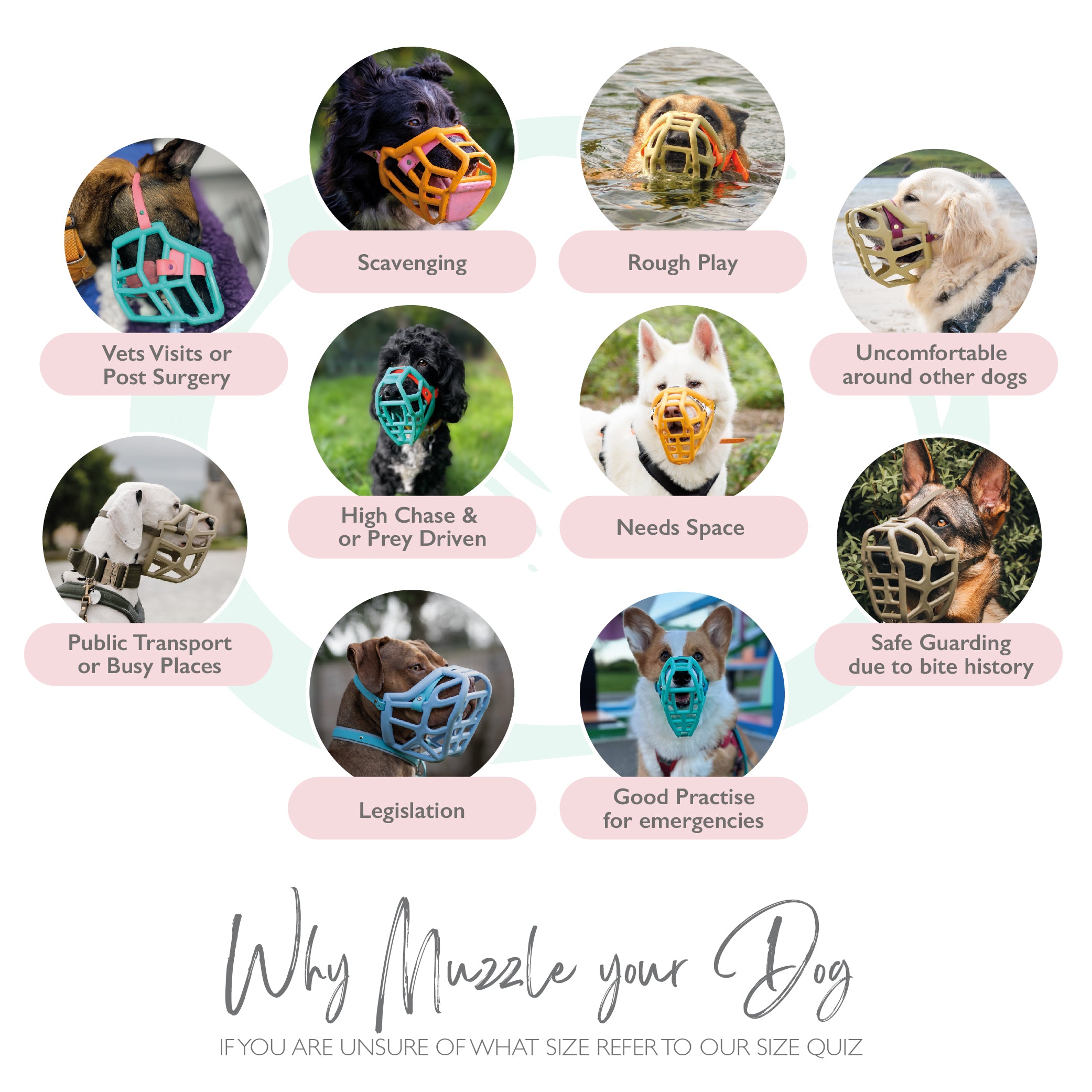 Size Neli Dog Muzzle - Made to order muzzle with colour customisation ...