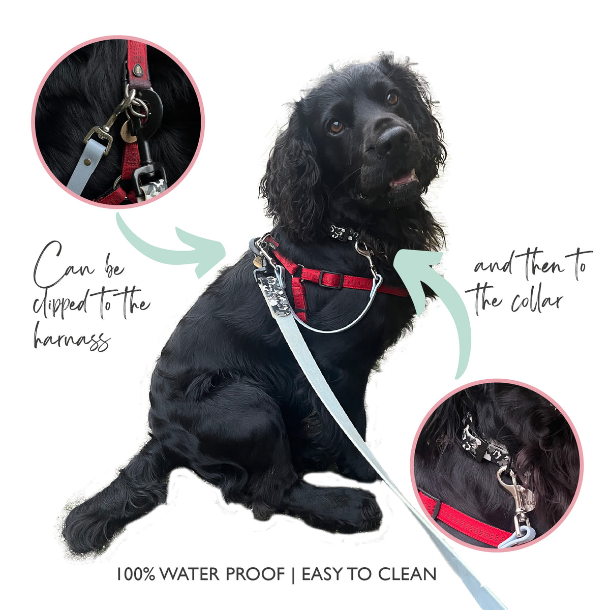 Biothane Safety Strap– The Muzzle Movement