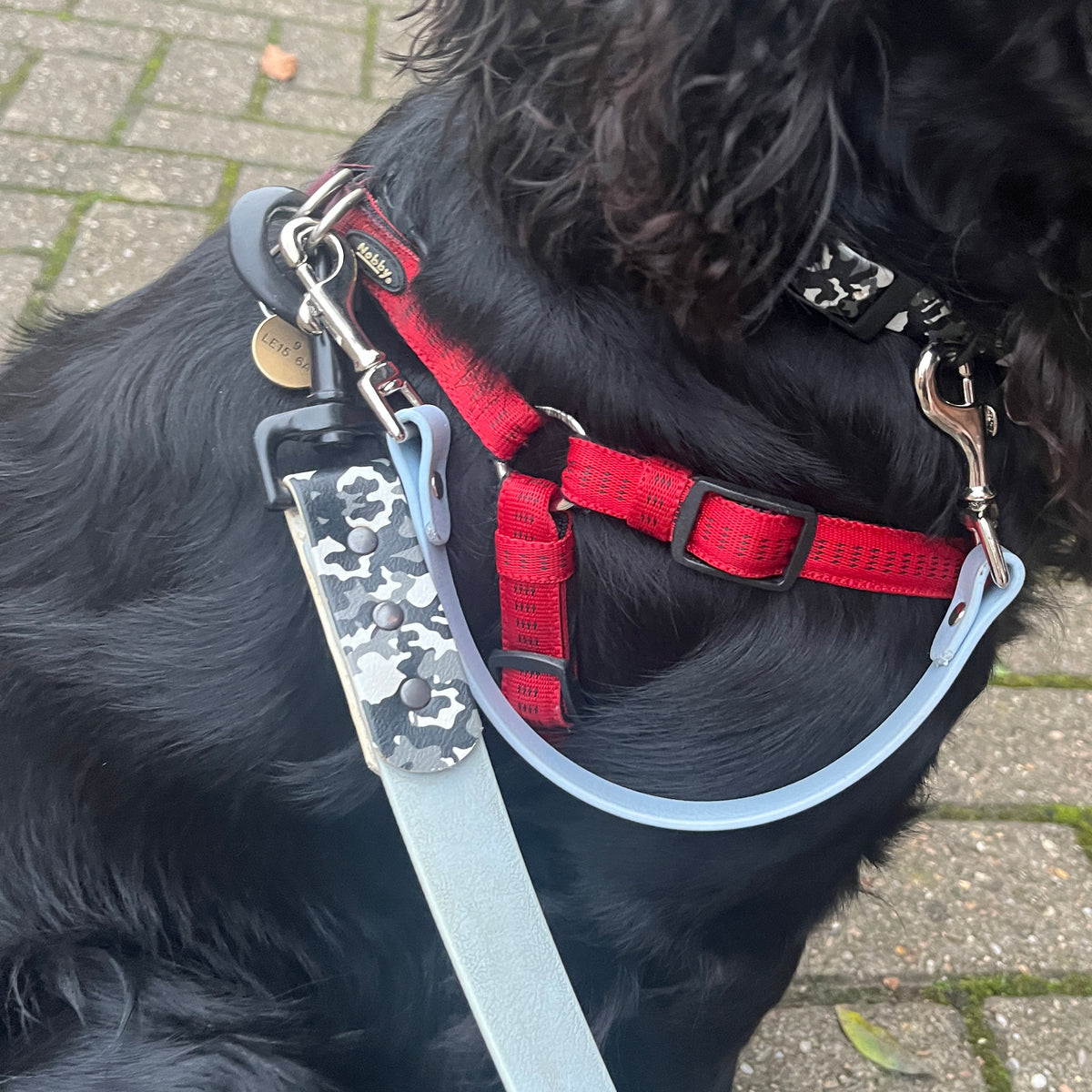 Biothane Safety Strap– The Muzzle Movement