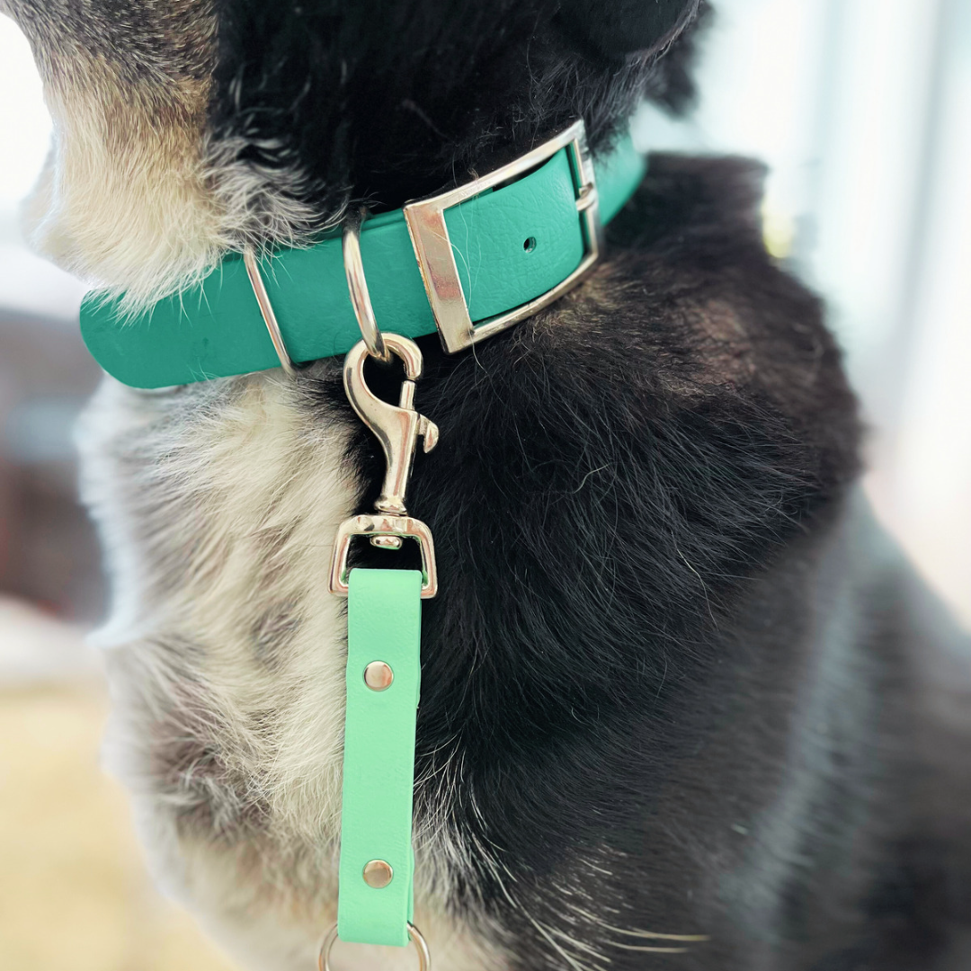Biothane Collar Attachment– The Muzzle Movement