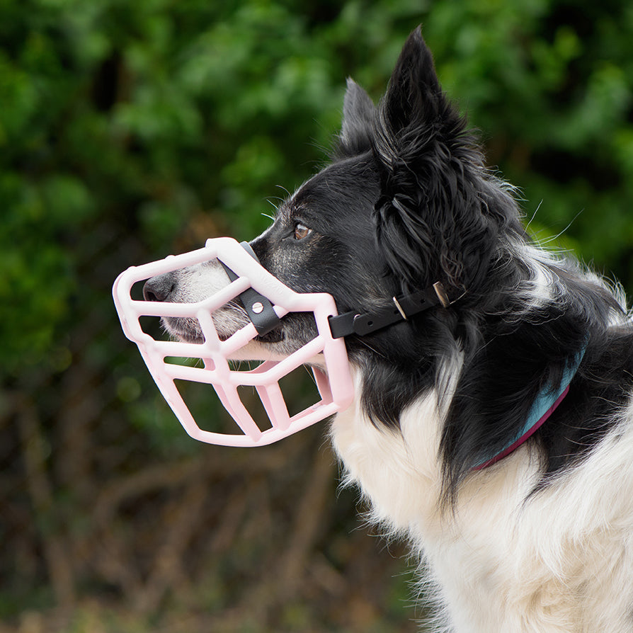 Size Neli Dog Muzzle - Made to order muzzle with colour customisation ...