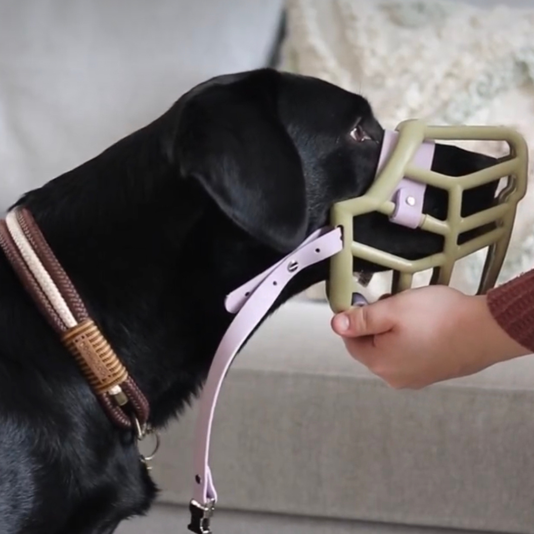 Size Neli Dog Muzzle - Made to order muzzle with colour customisation ...