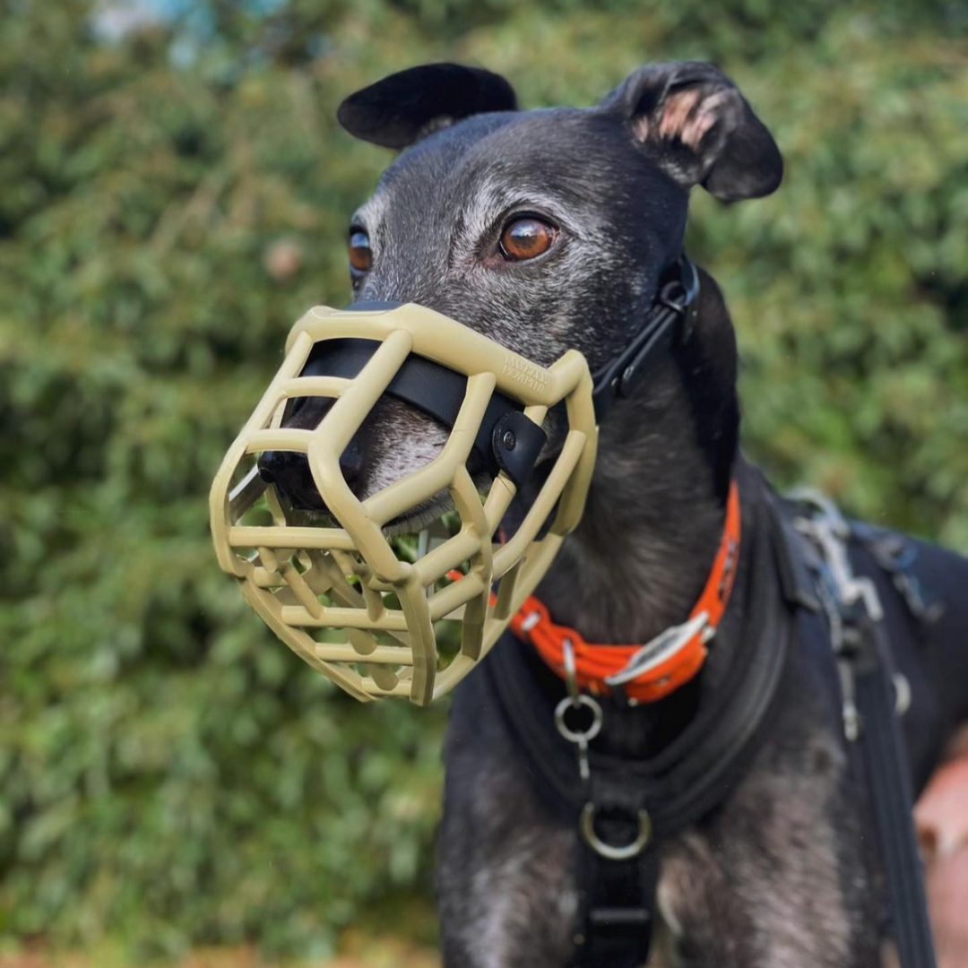 Size Neli Dog Muzzle - Made to order muzzle with colour customisation ...