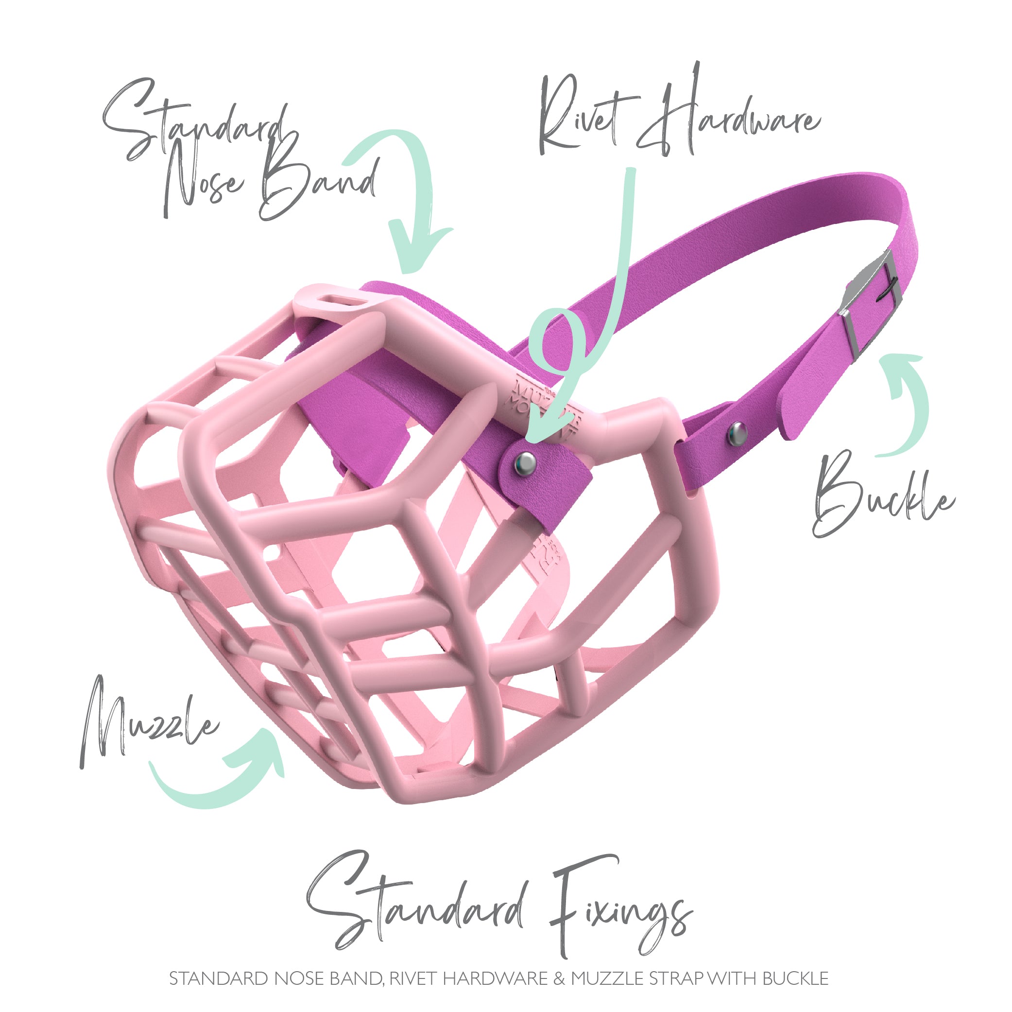 Size Rex - Made to order muzzle with colour customisation– The Muzzle Movement