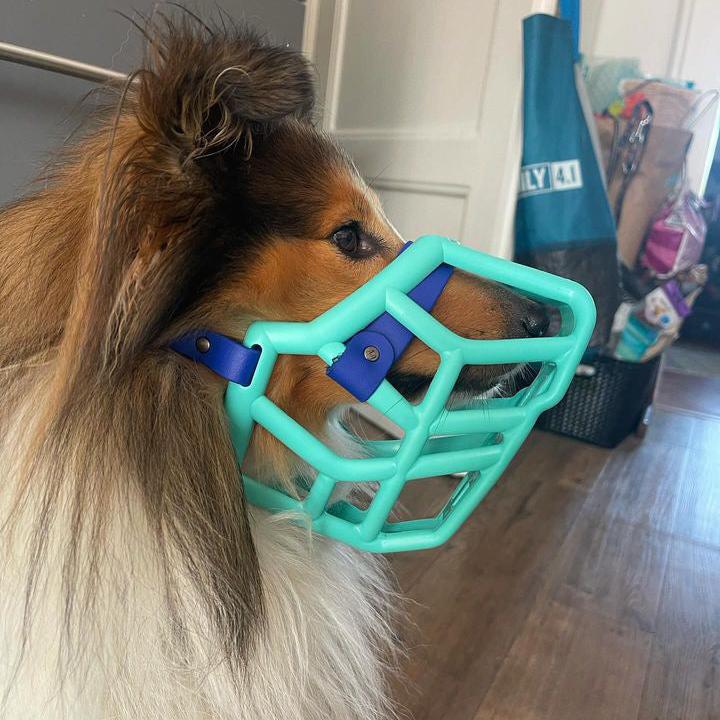 Size Rex - Customisable– The Muzzle Movement