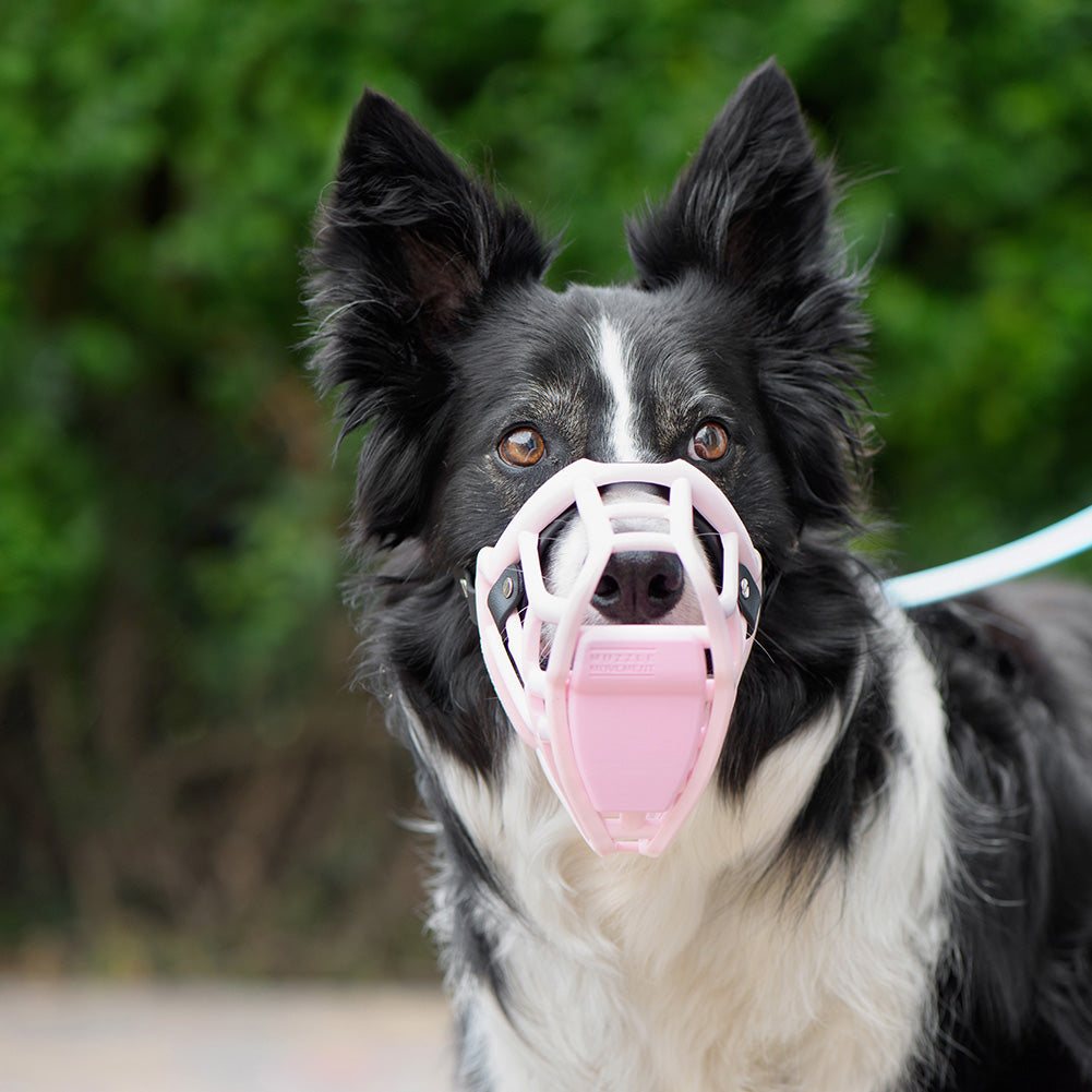 Scavenger Guard– The Muzzle Movement