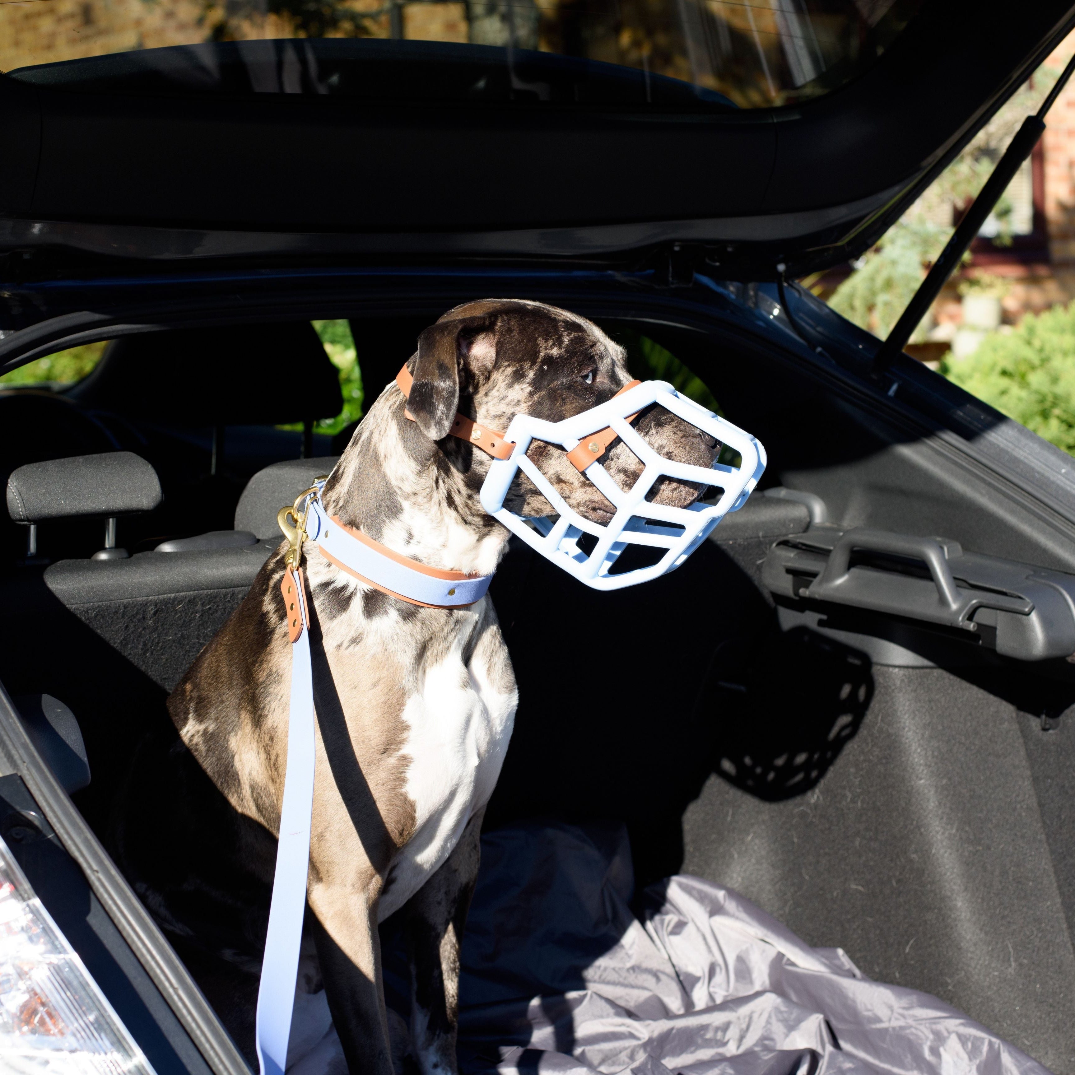 Size Sunny Dog Muzzle- Made to order muzzle with colour customisation ...