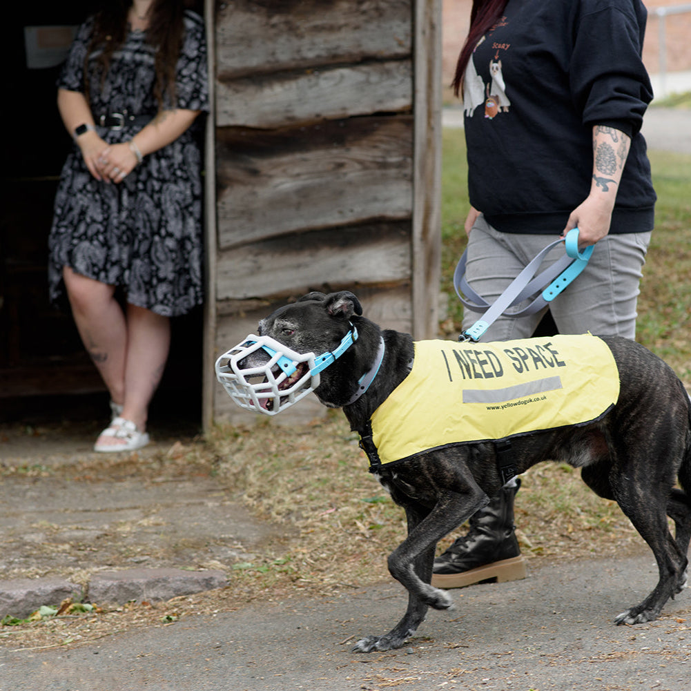 Size Tolly Dog Muzzle - Made to order muzzle with colour customisation ...