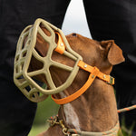 The Best Muzzle Options for XL Bully Breeds: A Comprehensive Guide– The ...