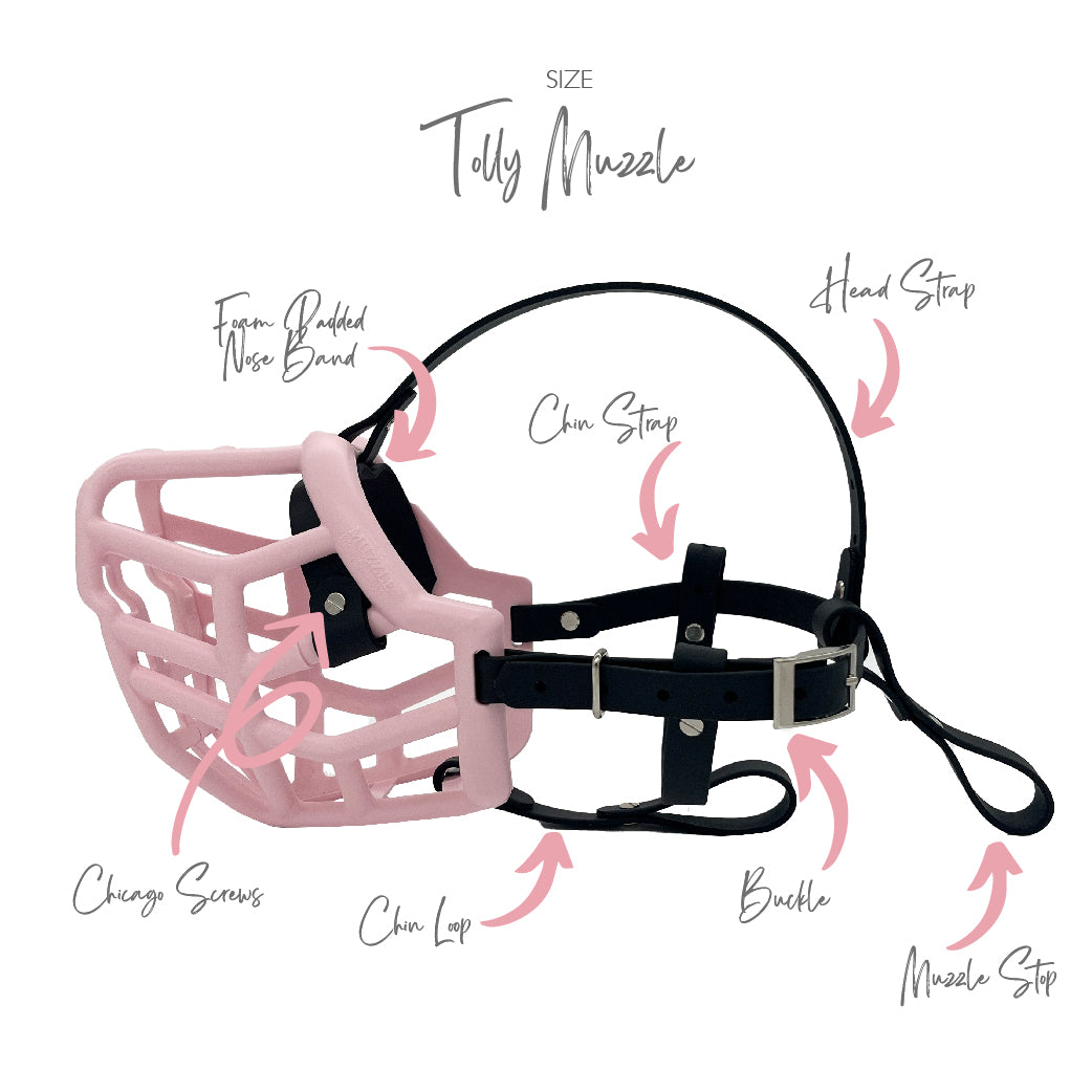 Size Tolly - Customisable– The Muzzle Movement