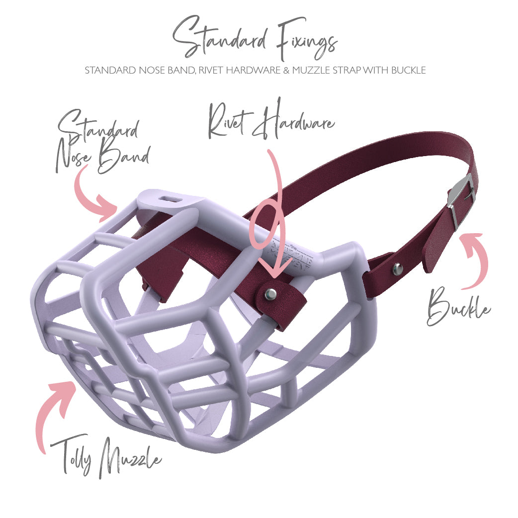 Size Tolly - Made to order muzzle with colour customisation– The Muzzle Movement