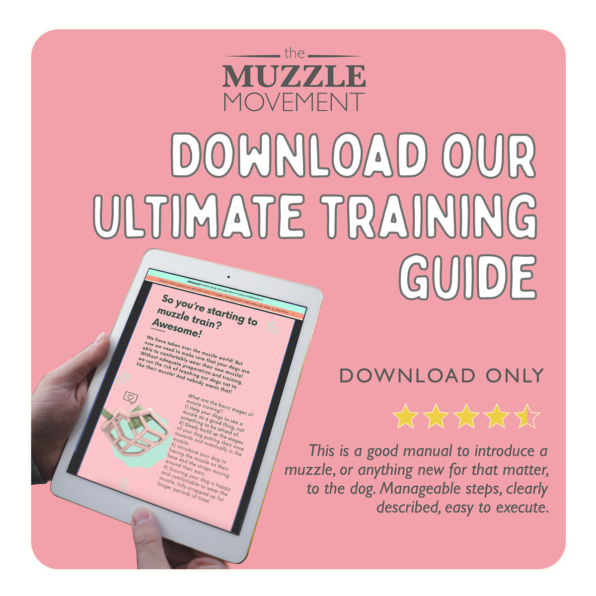 The Ultimate Muzzle Training Guide– The Muzzle Movement
