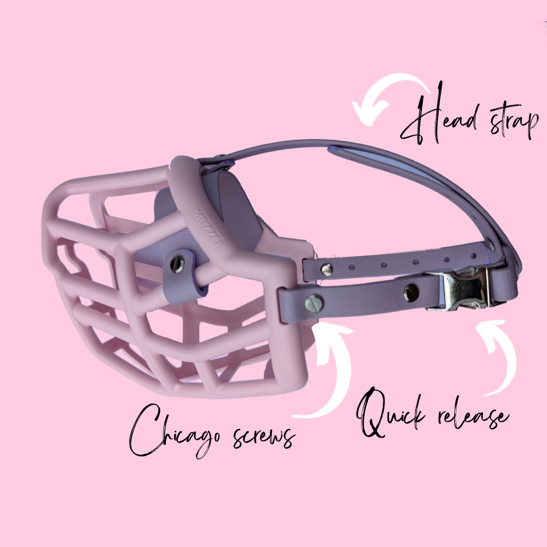 Head Strap– The Muzzle Movement